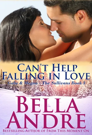 Zusammenfassung von 'Can't Help Falling in Love' von Bella Andre - Buch Zusammenfassungen